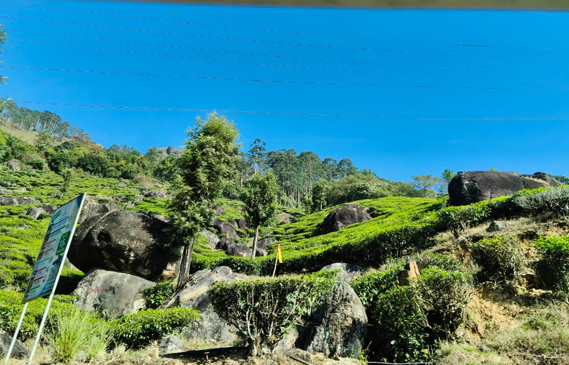 Munnar Notes – Manish Mohandas